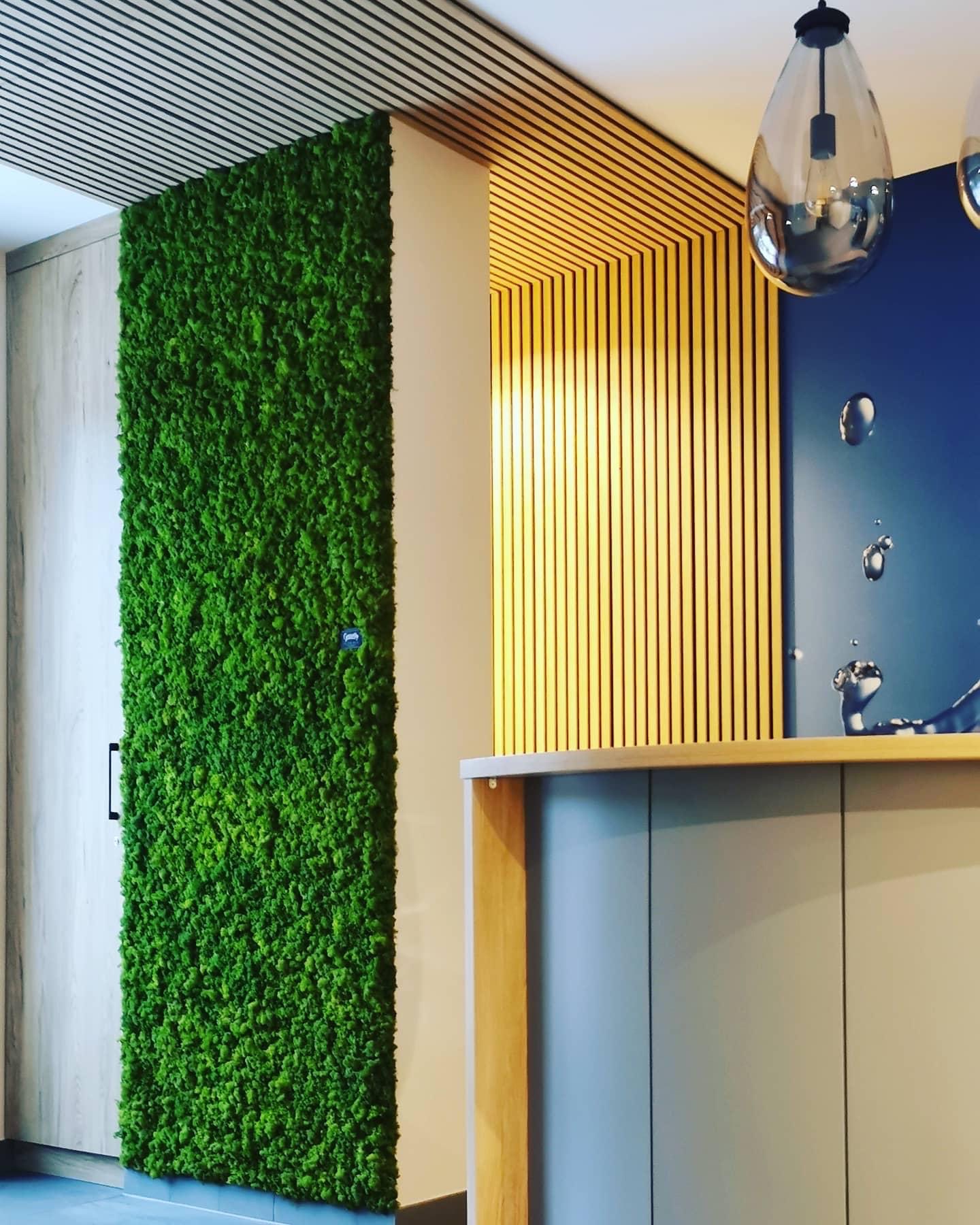 Reindeer moss wall panel 50 x 50cm for DIY installation | color ...